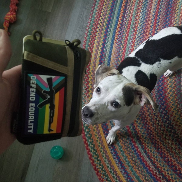 Defend Equality Trans Flag and Rifle Hard Enamel Pin - Etsy