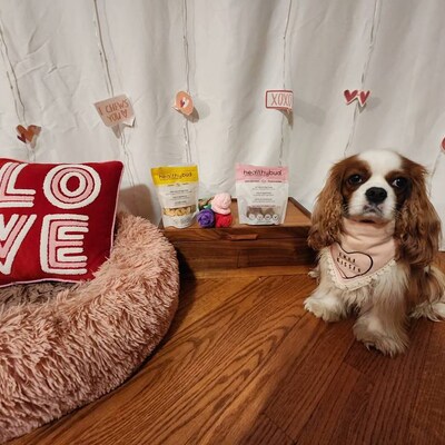 Toads and Mushrooms, toadally Fungi Cream Velvet, Forest, Reversible ...