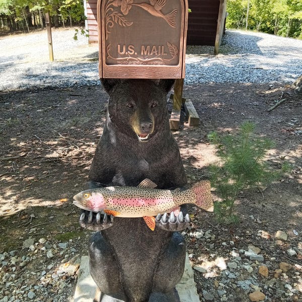 Rougheye Rockfish, Sebastes Aleutianus, Blacktip Rockfish, Rock Cod, 11 ...