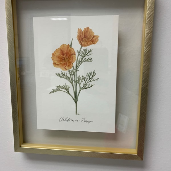 California Poppy Print - Flower Print, Botanical Print, California ...