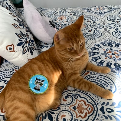 TNR Cat Tee Shirt Trap Neuter Return Grey Slim Fit - Etsy