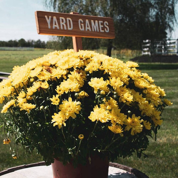 YARD GAME Signs, Party Signs, Wedding Game Signs, Family Reunion, BBQ ...