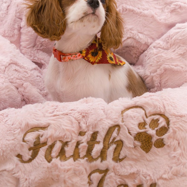 Embroidered Dog Gift, Biscotti Ocelot and You Choose Minky Personalize ...