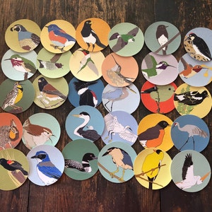 Set of 6 Vegan Leather Wild Bird Coasters Choose From 11 Different Sets ...