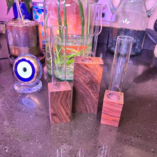 Black Walnut Propagation Set of 3 / Hydroponic Rooting Vases / Test ...