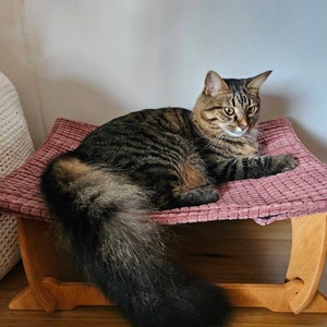 Cat Tree XL 47 Inch. Cat Tower for Large Cats Cat Scratching - Etsy