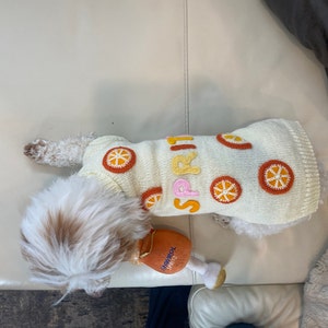 Personalized Dog Sweater With Embroidered Dog Name - Etsy
