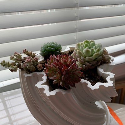 Planter Pot With Drainage, Sky Blue Fractal Design for Small and Large ...