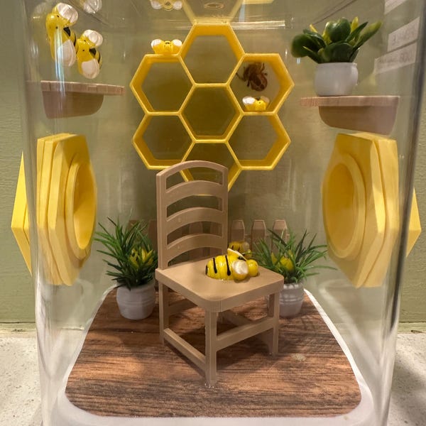 Jumping Spider Enclosure, Bee Themed, Decorated Terrarium. - Etsy