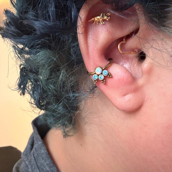 ASTM F136 Titanium Conch Hoop, Four Layer Stacked Conch Earring, Gold ...