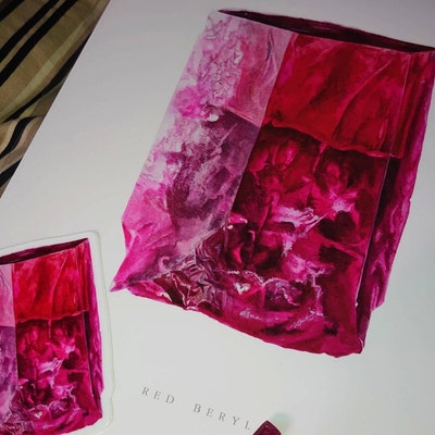 The Forager No. 1 Edible Wild Foods Poster, Foraging Poster, Edible and ...