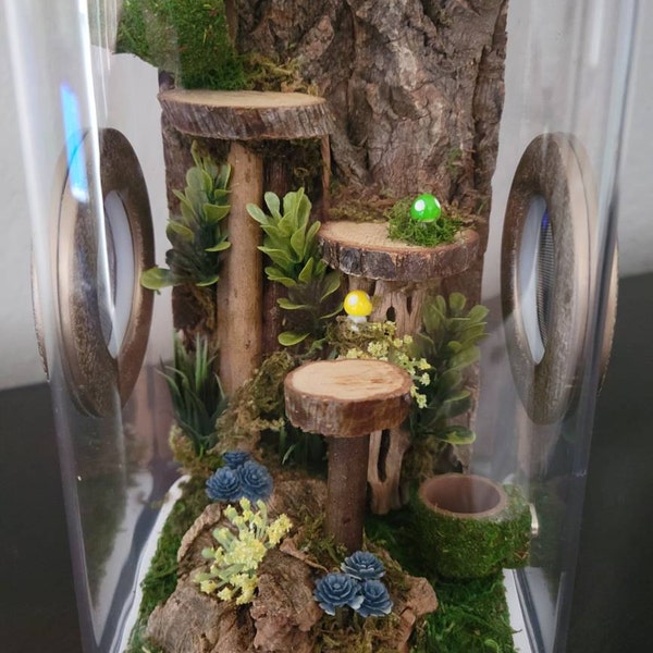 Jumping Spider Enclosure 5x5x9 Spider House, Spider Tank, Spider ...