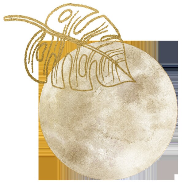 Groovy Flowers Clipart, Groovy Floral Clipart, Retro Flowers Clipart ...