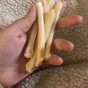 Real Goat Rawhide Natural Color Goat Hide for Use W/ Drum | Etsy