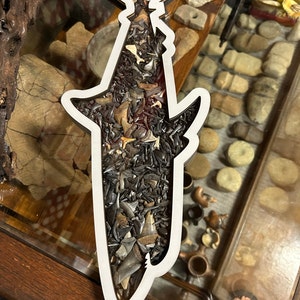 Shark Teeth Shadow Box for Shark Teeth, Small Shells, Fossils, Agates ...