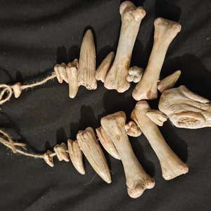 Fang Tribal Necklace With Raven Skull and Beads, Fake Wolf Teeth Choker ...