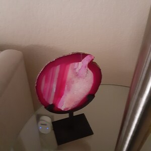 Mosasaurus Water Dinosaur Tooth AUTHENTIC Fossilized | Etsy