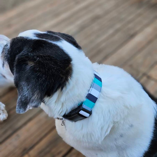 Rifle Paper Co. Dog Collar, Dog Collars, Floral Dog Collar, Girl Dog ...