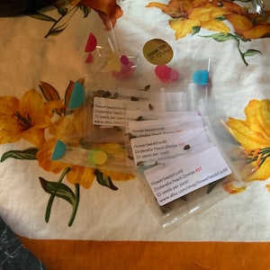 Zinnia Seeds Pepito Mix dwarf 264 - Etsy