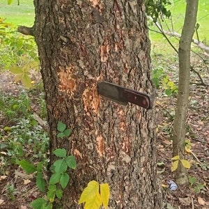 Round Colonial Flint Striker - Etsy