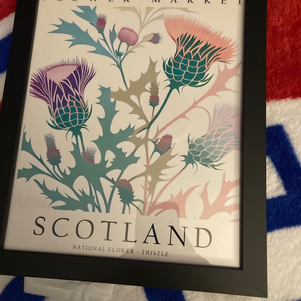 Scotland National Flower, Scotland Flower Market Art Print, Thristle ...