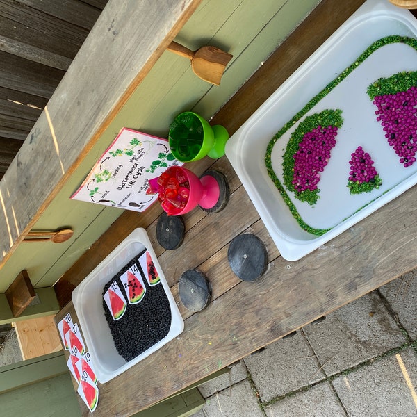 Watermelon Unit Study, Preschool Curriculum, Preschool Printable ...