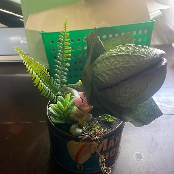 Baby Audrey II Replica Prop Display From "little Shop of Horrors" - Etsy