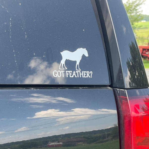 Lady Trucker TP 684 Vinyl Decal Sticker Truck Driver Semi Big Rig 18 ...