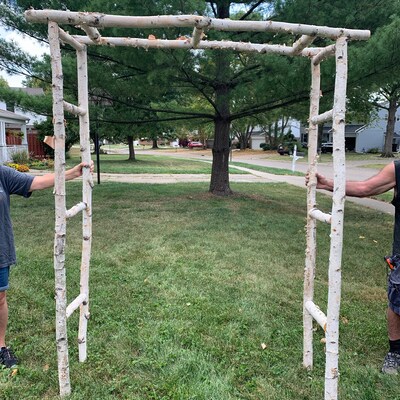 Four Thick White Birch Poles 8 Feet Long - Etsy