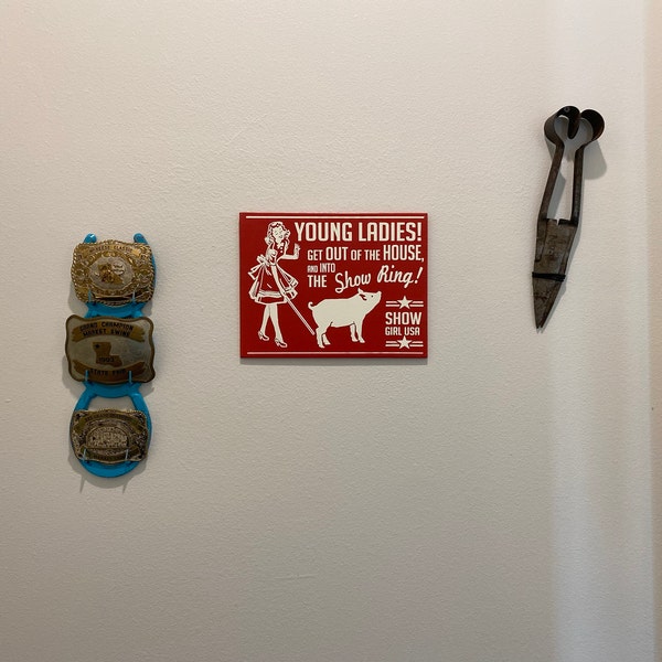 Vertical Belt Buckle Display 3-10 Buckles - Etsy