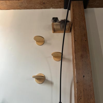 Cloud Cute Steps for Cats, Cat Wall Steps, Cat Stairs, Cat Steps, Cat ...