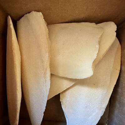 Vented Enclosure 16 Quart Reptile Isopod Terrarium Vivarium Container ...