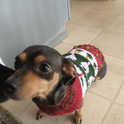 Personalized Dog Sweater With Initials Dog Clothes With - Etsy