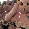 2in1 Crochet Bunny Toy Pattern Crochet Rabbit Amigurumi Pattern Crochet ...