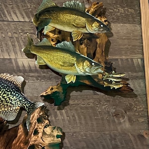 Walleye Replica 30 Inch 2D Metal Walleye Fish Art Replica, Faux ...