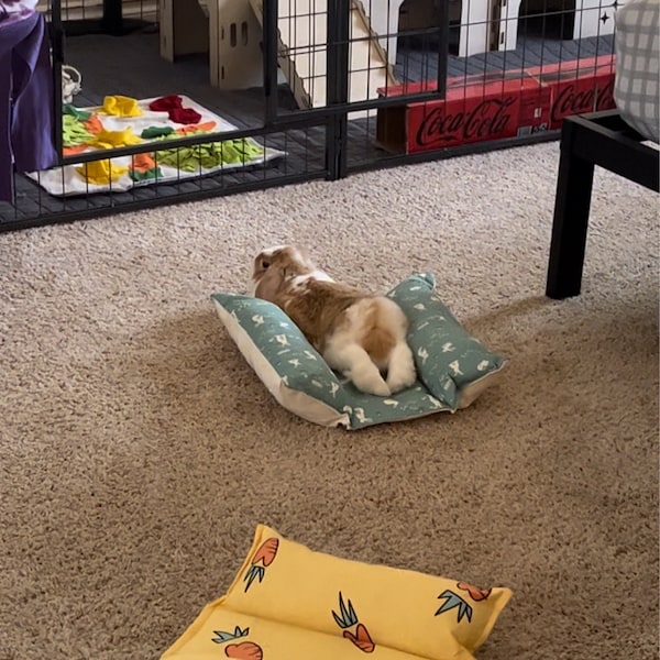 Zipped Hop Hop Green Bunny Rabbit Lounger Pillow Bed/ Cool Bed/ Rabbit ...