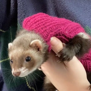 Various Colours Ferret Sweater Jumper. Hand Knitted Handmade Wool ...