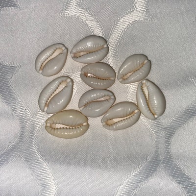 120 Assorted Ox Bone Beads for Jewelry Making, Multi-color Natural Bone Bead - Etsy