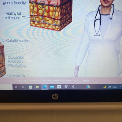 Brow Lamination Canva Editable Manual Tutorial Course Training Template