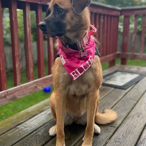 Puppy Dog Bandana US Marine Corps USMC Personalized Tie - Etsy
