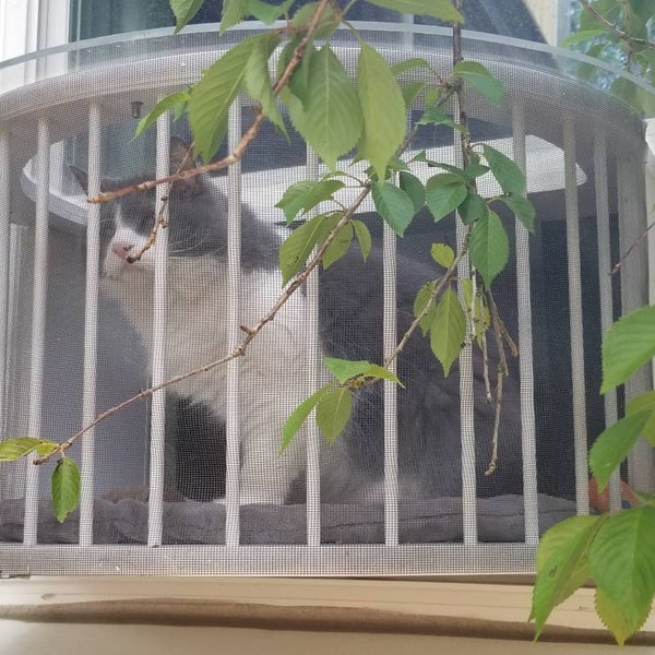 Cat Solarium Conservatory Package the Ultimate Cat Window Box. Cat ...