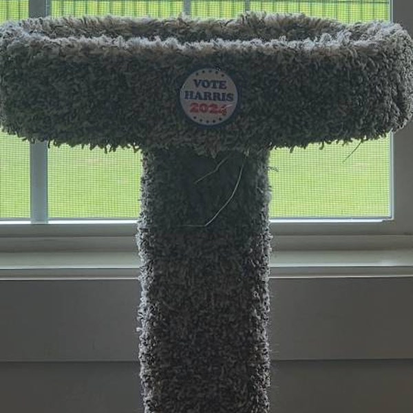 5 Pack Please Be Patient, I Have Low Vision Blue/white Disability ID ...