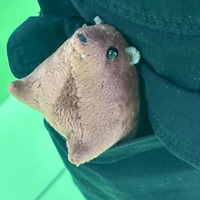 Stuffed Animals - Mola Mola Ocean Sunfish - Mola Fish Stuffed Toy ...