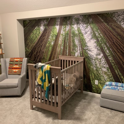 Sequoia Forest MURAL, Giant Trees Wallpaper, Redwood Wall Mural, Large ...