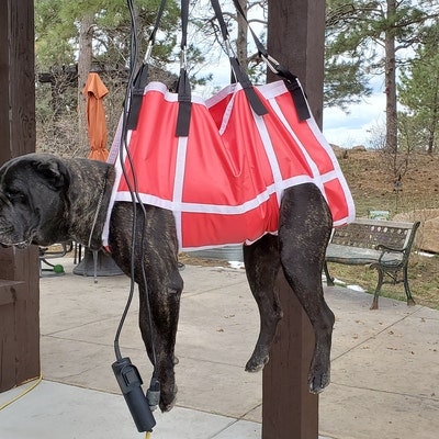 Large Breed Dog Grooming Hammock Sling Eazy Nail Triming Custom Made - Etsy