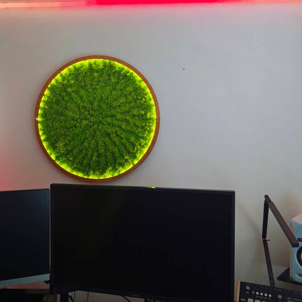 Preserved Moss Wall Decor With Led, Natural Dried Moss Wall Art ...
