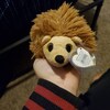 Ty Beanie Boo 'jade' the Fox Great Wolf Lodge Exclusive medium 9.5 Inch ...