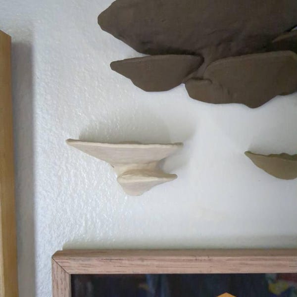 Mushroom Floating Shelf - the Trametes Fungus, Fungi Wall Shelf ...