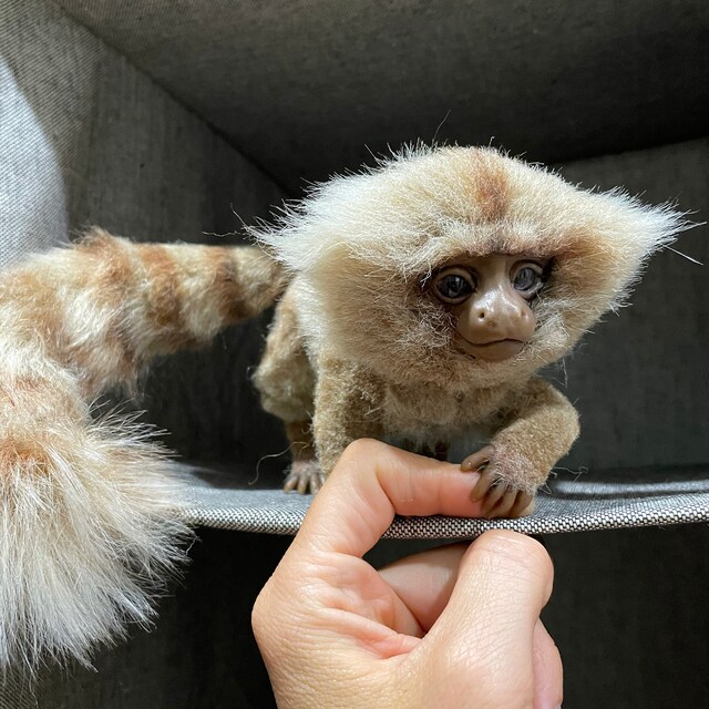 Funanya Art Dolls poseable dolls animals by FunanyaArtDolls