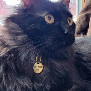 Night at the Forest Dog Tag Wolf Howling Husky Trees - Etsy